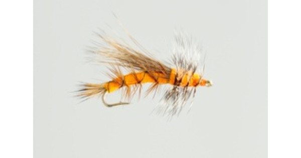 Stimulator All Orange Seche