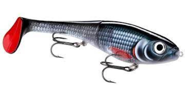 RAPALA X-RAP PETO 20 LIVE ROACH